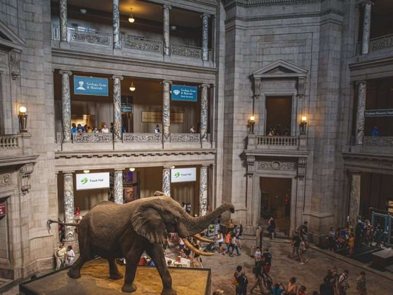 museum virtual tour – World by Isa