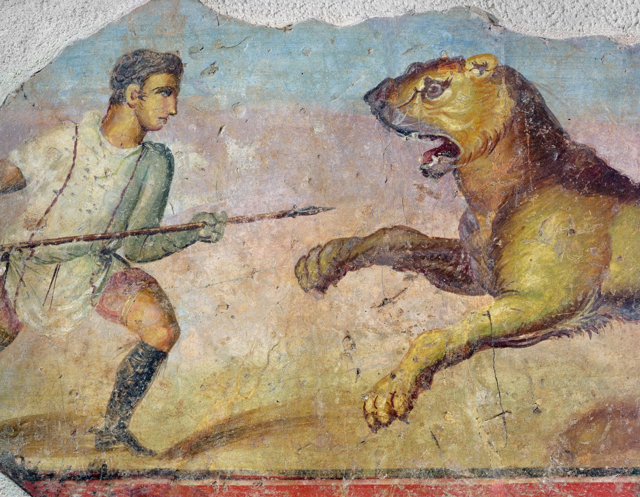 Did Gladiators ever fight Lions? – World by Isa
